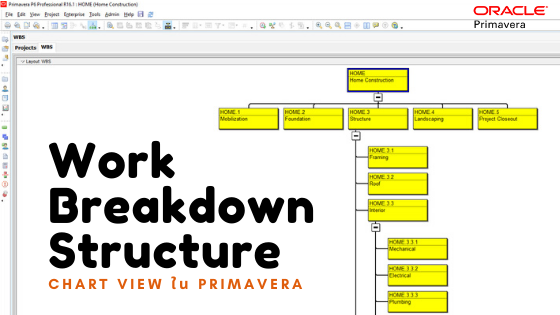 Developing A Work Breakdown Structure In Primavera P6, 58% OFF